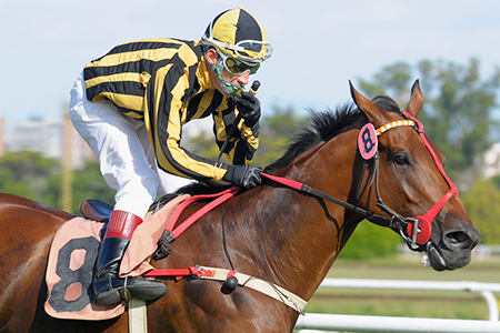 Latinoamericano 2017 | Ordak Dan (ARG) – 𝟏𝟎 𝐅𝐮𝐫𝐥𝐨𝐧𝐠𝐬