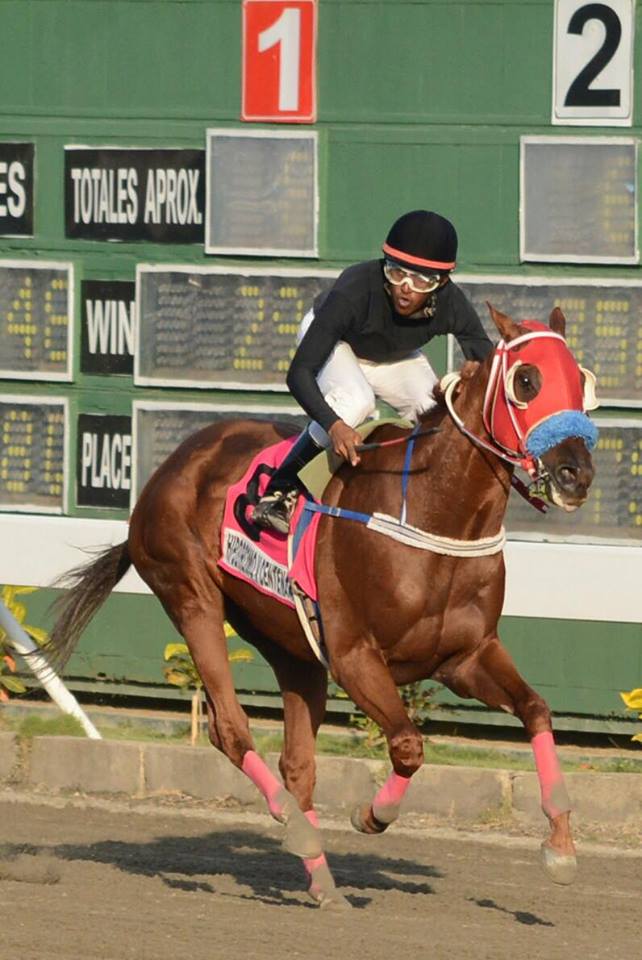 Poco Man (USA) sorprende en el Clásico Aniversario del Hipódromo V ...