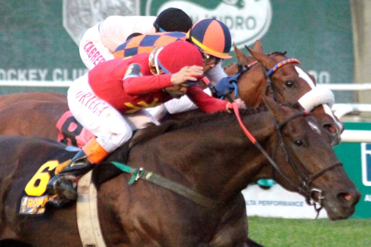 #Latino2020 | Roman Joy (ARG) sale del partidor doce – 𝟏𝟎 𝐅𝐮𝐫𝐥𝐨𝐧𝐠𝐬