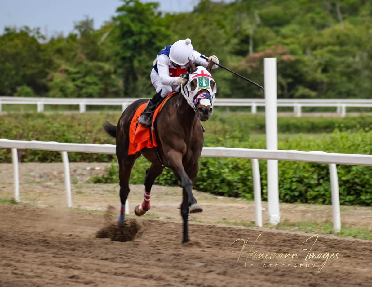 Se reanudan las carreras en el Clinton Phipps Racetrack – 𝟏𝟎 𝐅𝐮𝐫𝐥𝐨𝐧𝐠𝐬